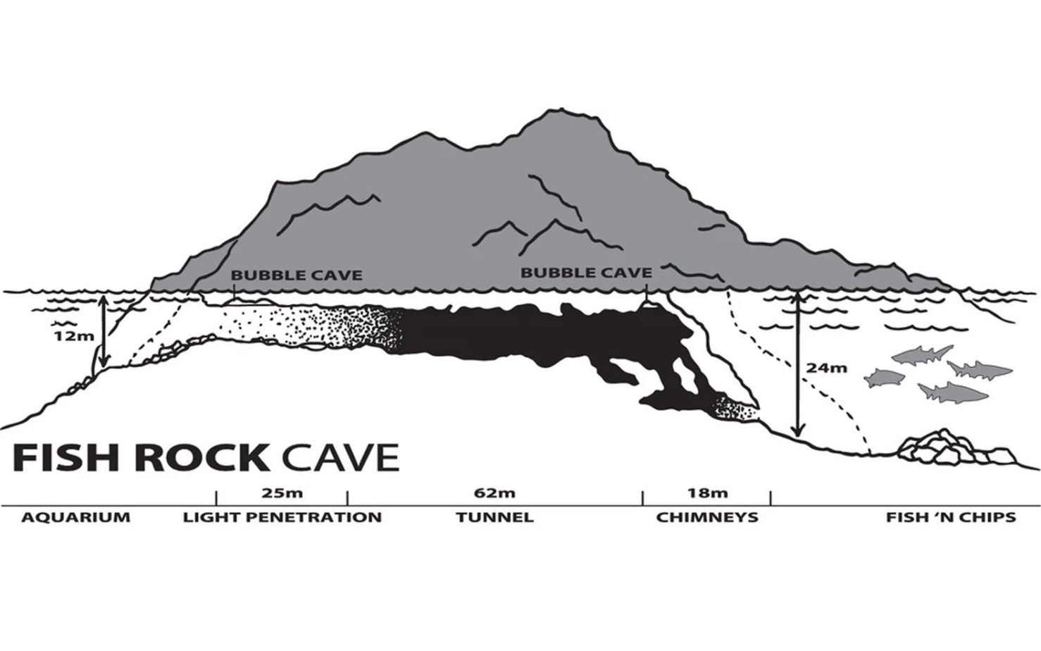 The Complete Guide to The South West Rocks Dive (NSW, Australia): Fish ...
